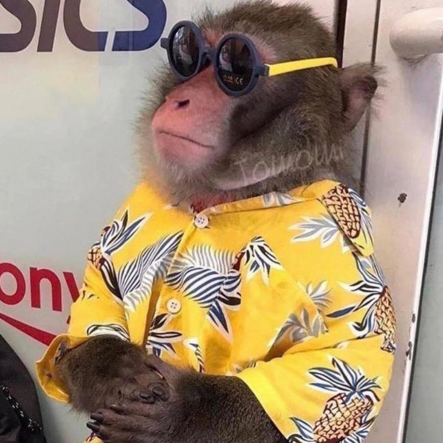 Funky Monkey | The Apecord Wiki | Fandom