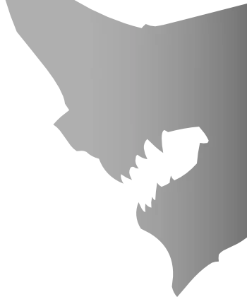 Qiu He Beast | Swallowed Star Wiki | Fandom