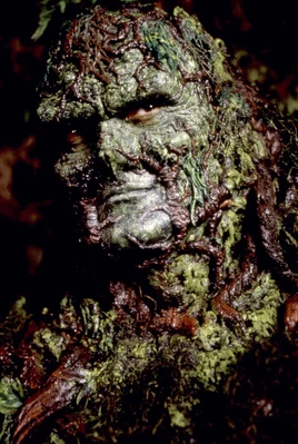 Swamp Thing | Swamp Thing Wiki | Fandom