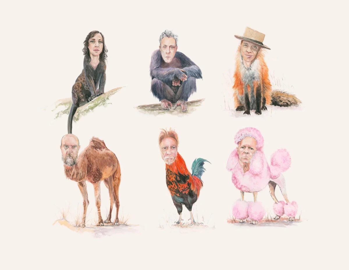 Swans | Swans Wiki | Fandom