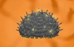 Spike Tank | Swarm Queen Wiki | Fandom