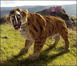 Sia-Tooth Felyx | Star Wars Bloodlines Wiki | Fandom