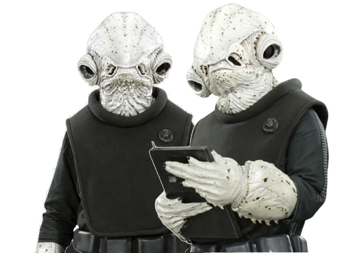 Skiv Skiv Brothers | And you do a loop at the end Wiki | Fandom