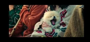 Bom | Sweet Home Wiki | Fandom