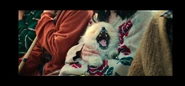 Bom | Sweet Home Wiki | Fandom