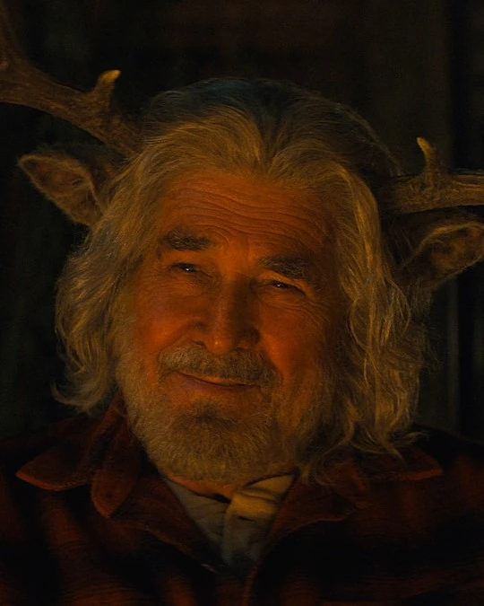 Narrator (disambiguation) | Sweet Tooth (TV series) Wiki | Fandom