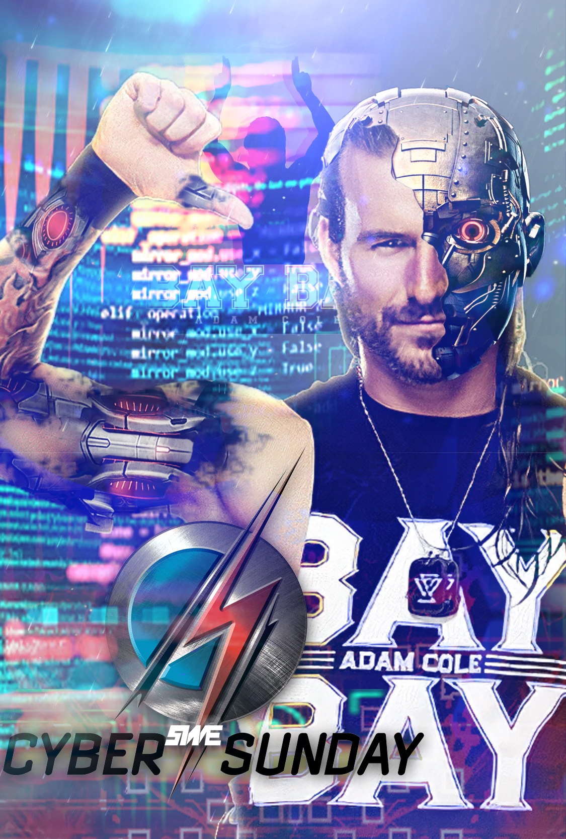 Cyber Sunday 2021 | Wiki Swetrivial | Fandom