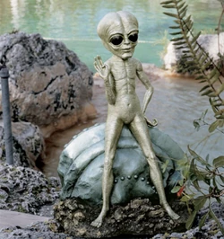 Columi | Star Wars Fanon | Fandom