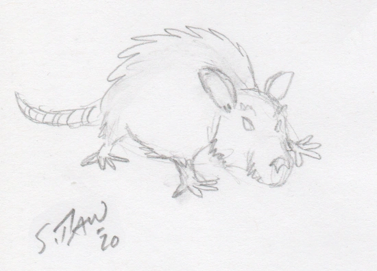 Rinnk rat | Star Wars Fanon | Fandom