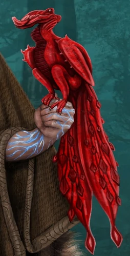 Rashidi | Star Wars Fanon | Fandom