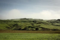 Tibris | Star Wars Fanon | Fandom