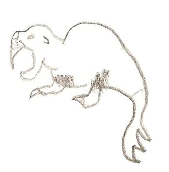 Vampire beaver | Star Wars Fanon | Fandom