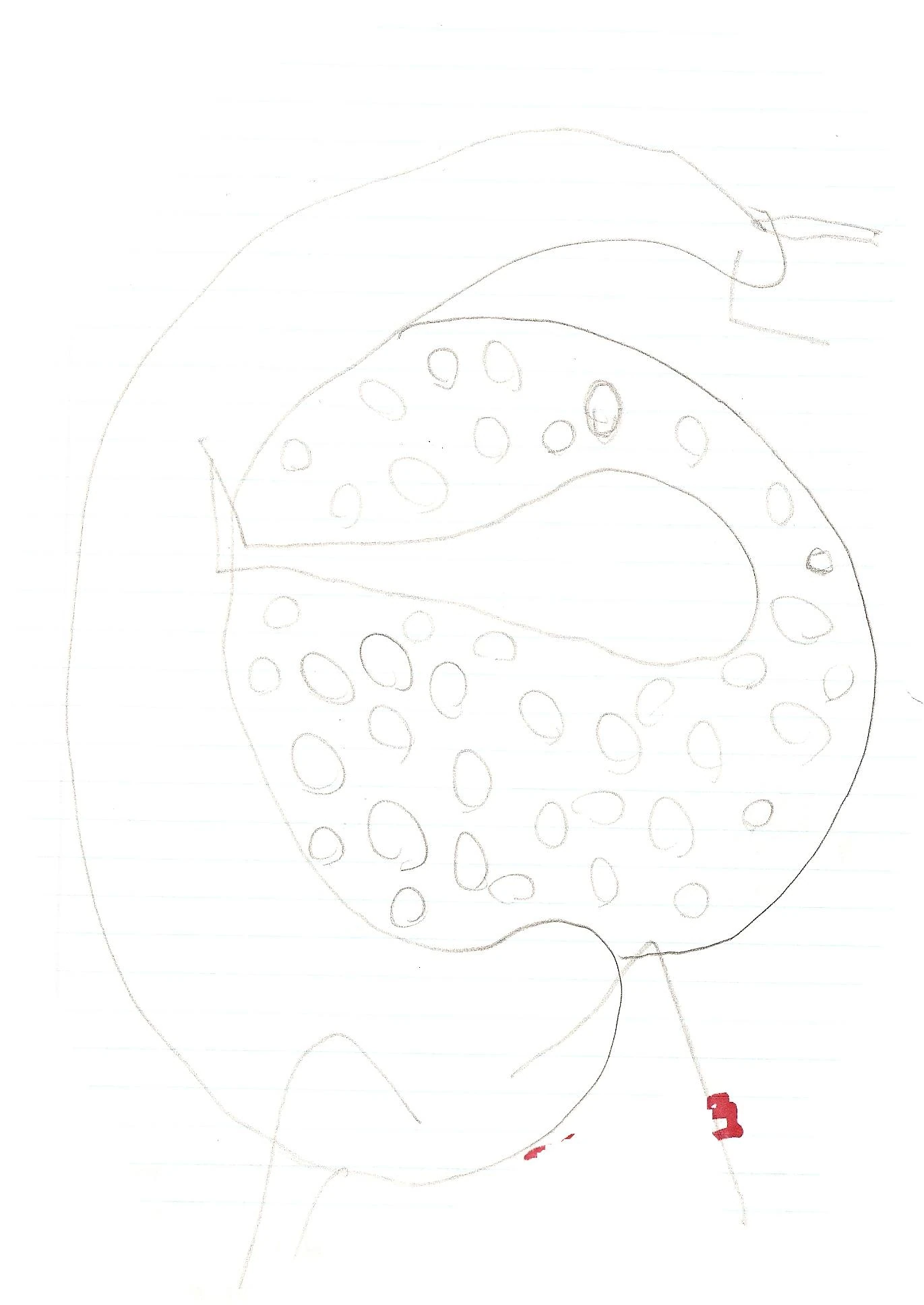 Queen of Colla IV | Star Wars Fanon | Fandom