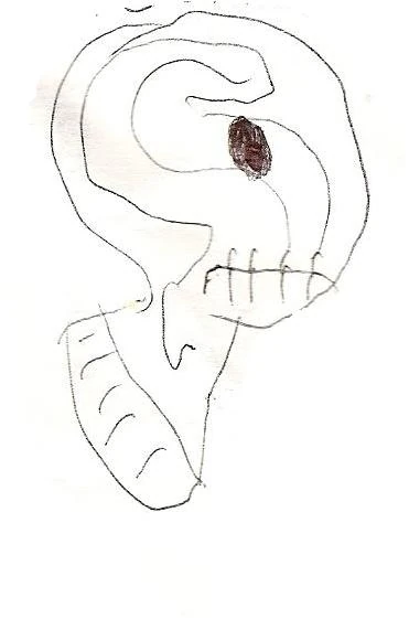 Naad Negin | Star Wars Fanon | Fandom