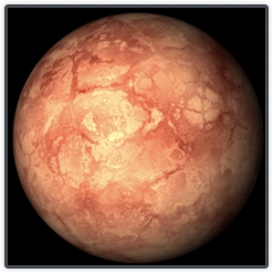 Antor | Star Wars Fanon | Fandom