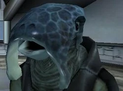 Brashus | Star Wars Fanon | Fandom