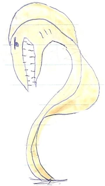 Gulper serpent | Star Wars Fanon | Fandom