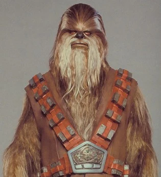 Lowbacca (Jetiise Vode) | Star Wars Fanon | Fandom