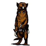 Rivercrosser | Star Wars Fanon | Fandom