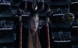 Padmé Naberrie Skywalker | Star Wars Fanon | Fandom