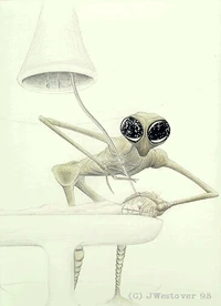 Alpha Zeta insectoid | Star Wars Fanon | Fandom