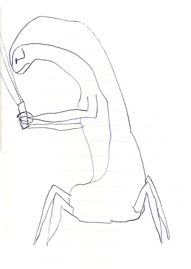 Zorith | Star Wars Fanon | Fandom