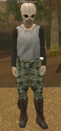 Love Lost | SWG Wiki | Fandom