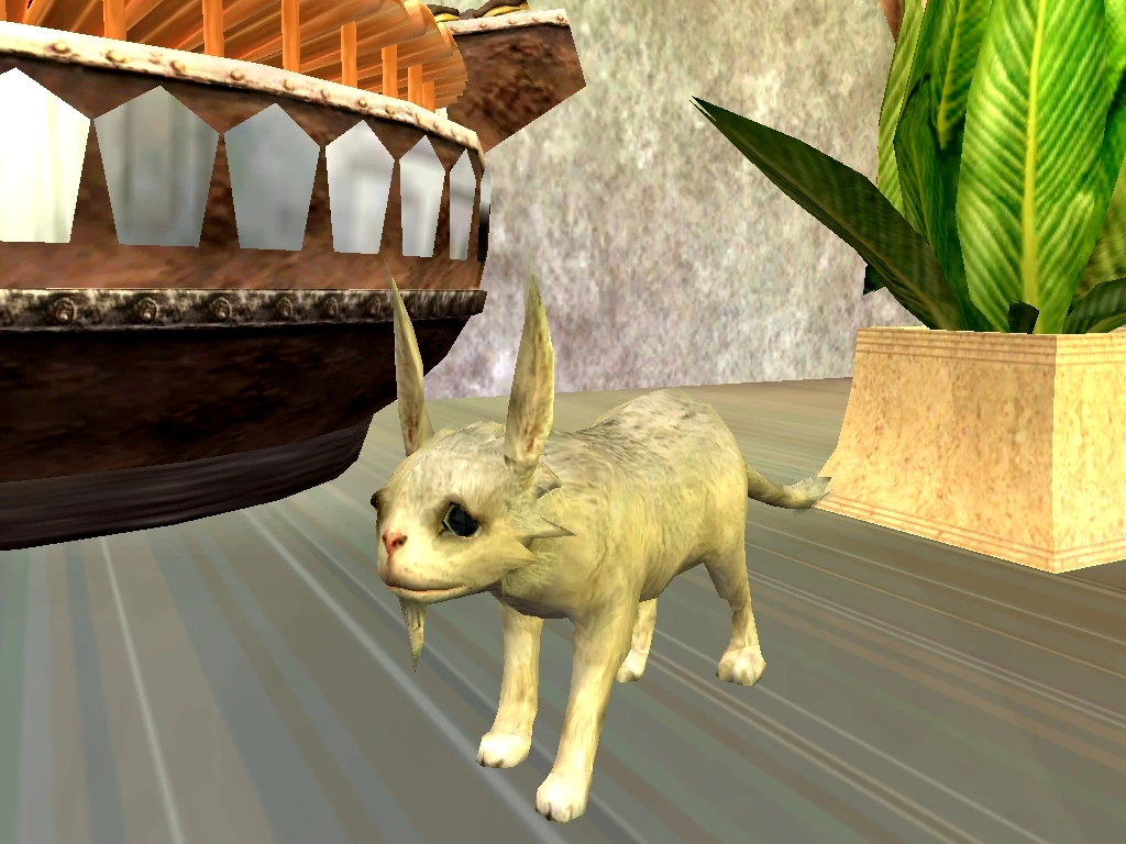 Bearded jax | SWG Wiki | Fandom