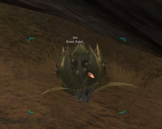 Rrwii root | SWG Wiki | Fandom