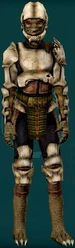 Treasure Hunter | SWG Wiki | Fandom