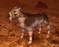 Caring for the Kusaks | SWG Wiki | Fandom