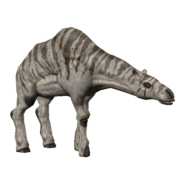 Bageraset | SWG Wiki | Fandom