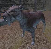 Kusak | SWG Wiki | Fandom