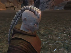 Skar | SWG Wiki | Fandom