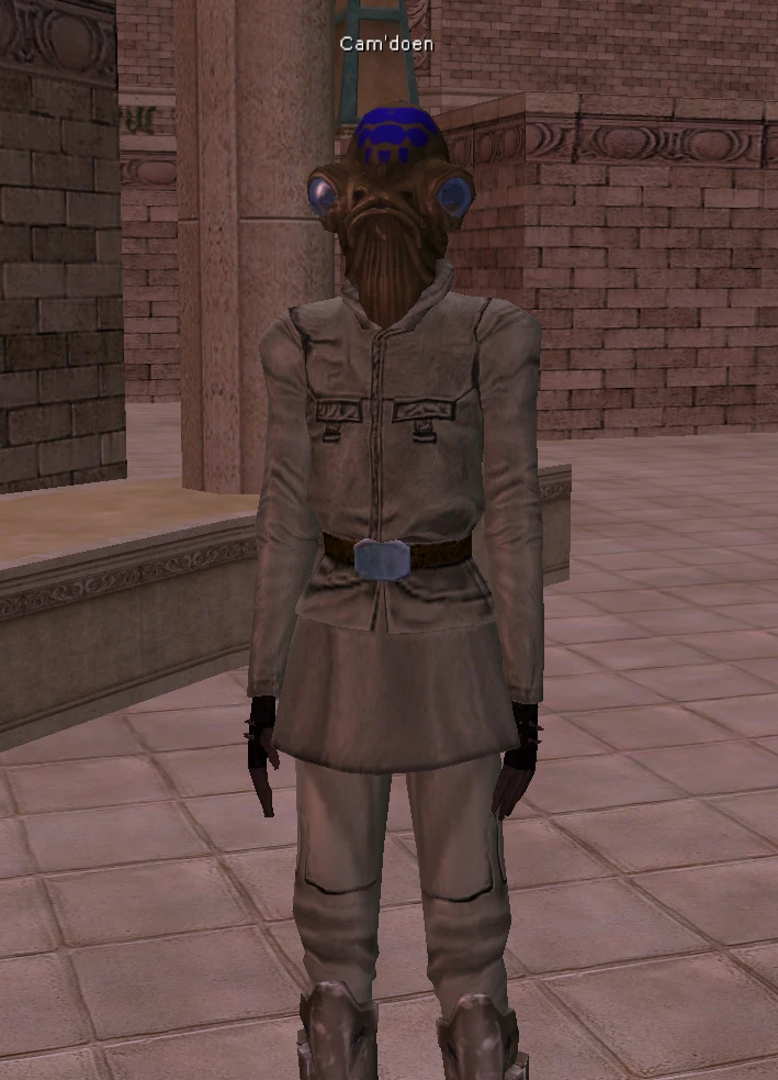 Cam'doen's Enforcer (II) | SWG Wiki | Fandom