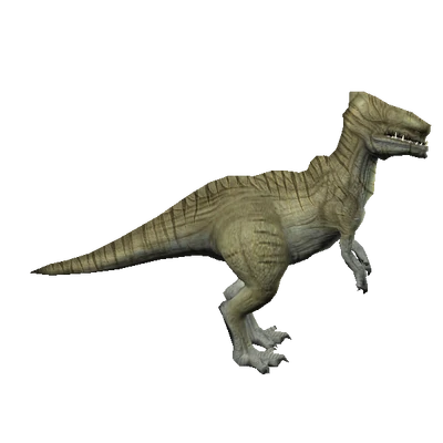 Kwi | SWG Wiki | Fandom