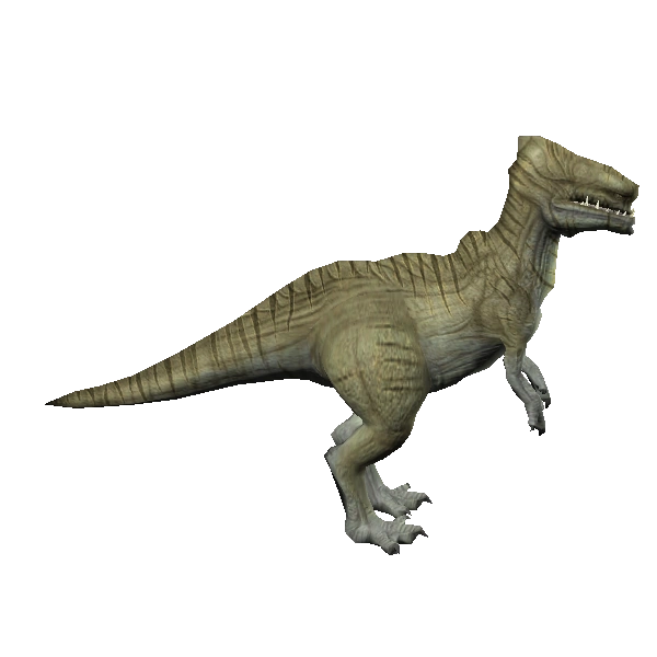 Kwi | SWG Wiki | Fandom