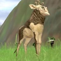 Ikopi Stag | SWG Wiki | Fandom