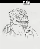 Concept Art and Pre-Release Materials | SWG Wiki | Fandom