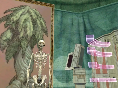 Skeleton Costume Instructions | SWG Wiki | Fandom