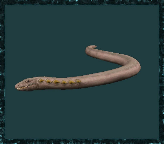 Spined Snake | SWG Wiki | Fandom