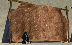 Animal Hide Rack Style 4 Schematic | SWG Wiki | Fandom