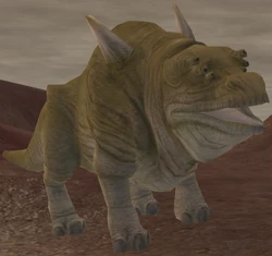 Bolma | SWG Wiki | Fandom