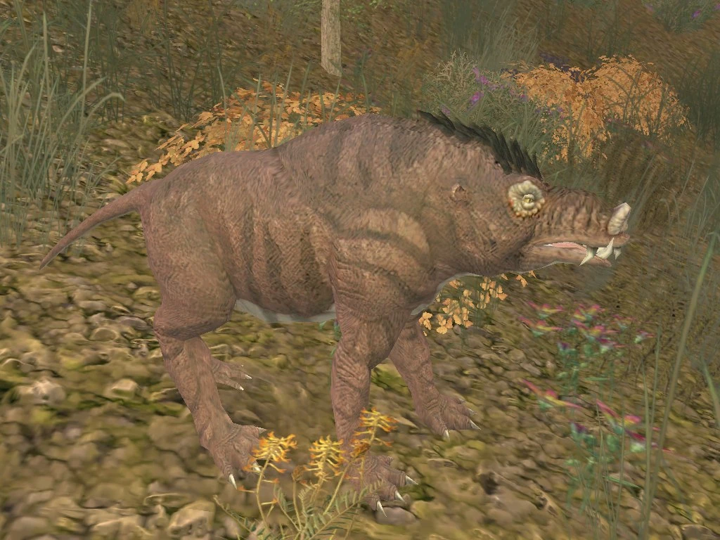 Canoid | SWG Wiki | Fandom