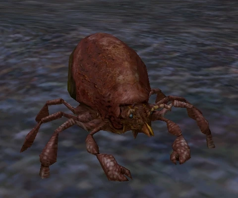Rot Mite | SWG Wiki | Fandom