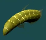 Master Angler | SWG Wiki | Fandom