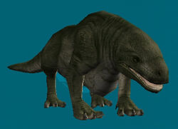 Dewback | SWG Wiki | Fandom