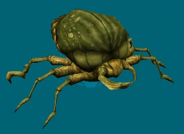 Beetle | SWG Wiki | Fandom