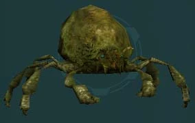 Category:Talus creatures | SWG Wiki | Fandom