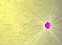 Rare Power Gem | SWG Wiki | Fandom